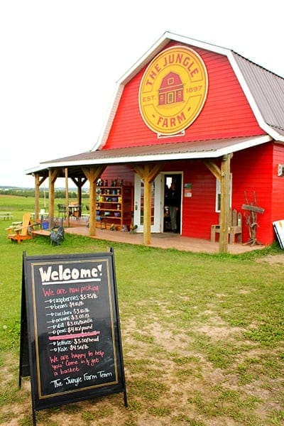 Tour of The Jungle Farm | Alberta Open Farm Days